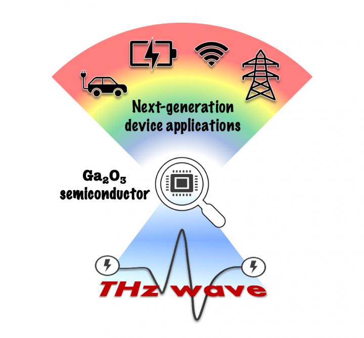 Figure 1 [IMAGE] | EurekAlert! Science News Releases