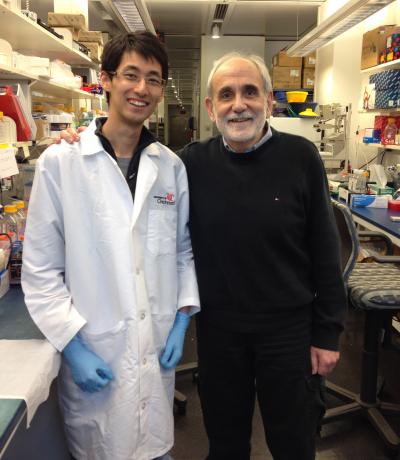 George Thomas and Teng Teng, U [IMAGE] | EurekAlert! Science News Releases