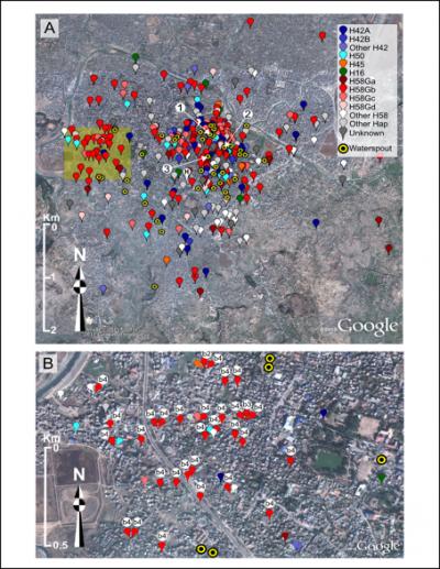 Google Earth typhoid maps reveal secrets of d | EurekAlert!