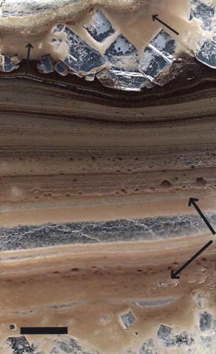 Nahcolite [IMAGE] | EurekAlert! Science News Releases