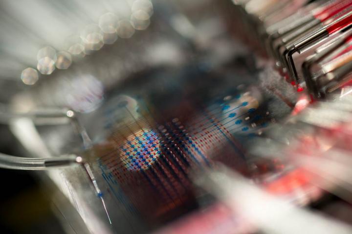 Lab on a Chip [IMAGE] | EurekAlert! Science News Releases