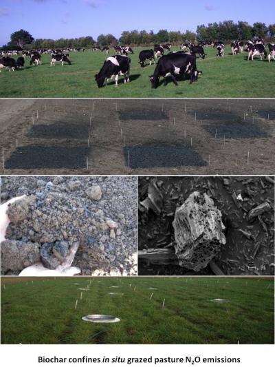 Can biochar help suppress greenhouse gases? | EurekAlert!