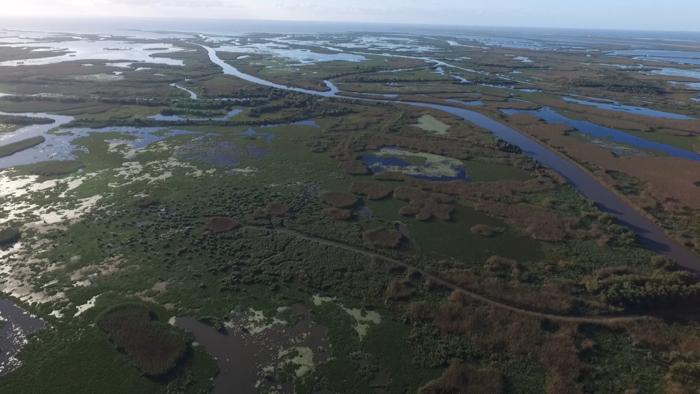 The historical resilience of the Bird’s Foot | EurekAlert!