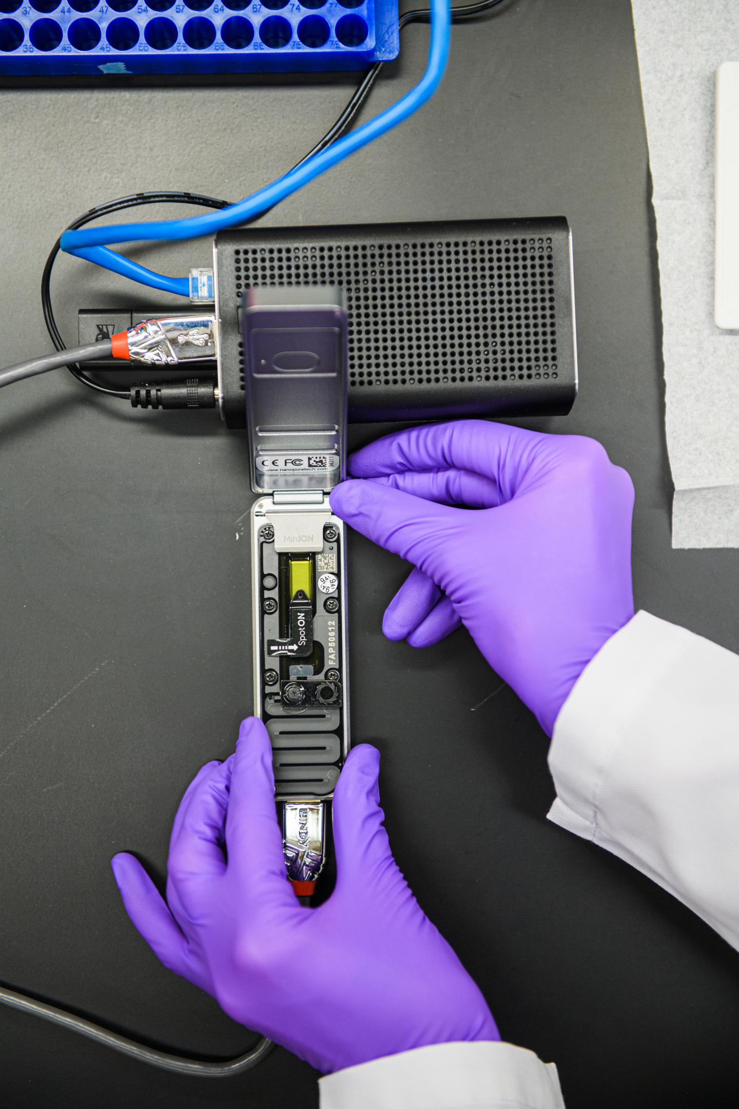 Gene Sequencer [IMAGE] | EurekAlert! Science News Releases