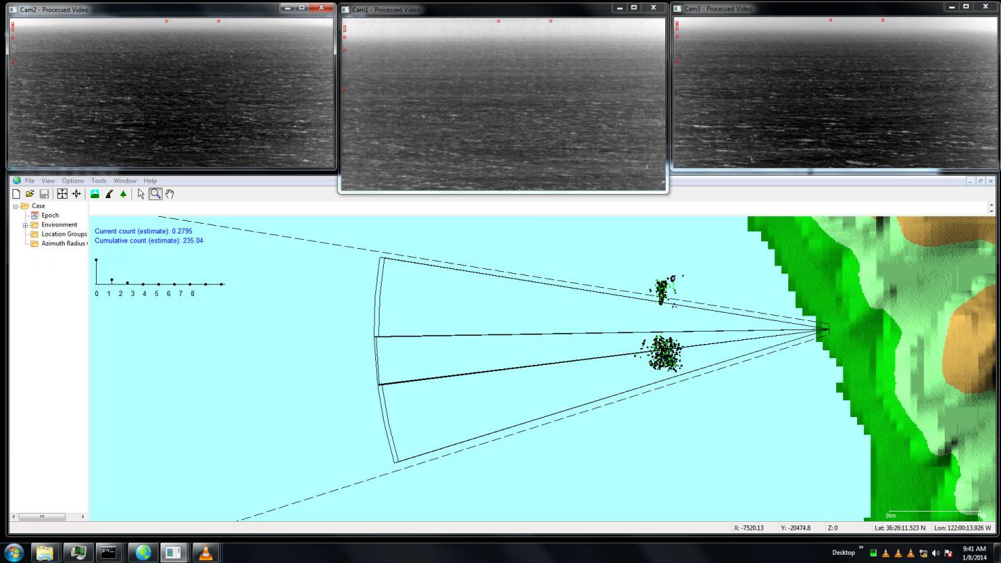 Automatic Whale Detector, version 1.0 | EurekAlert!