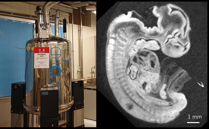 Image Photo [IMAGE] | EurekAlert! Science News Releases