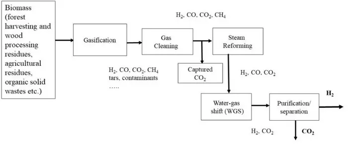Process pathway of biomass to [IMAGE] | EurekAlert! Science News Releases