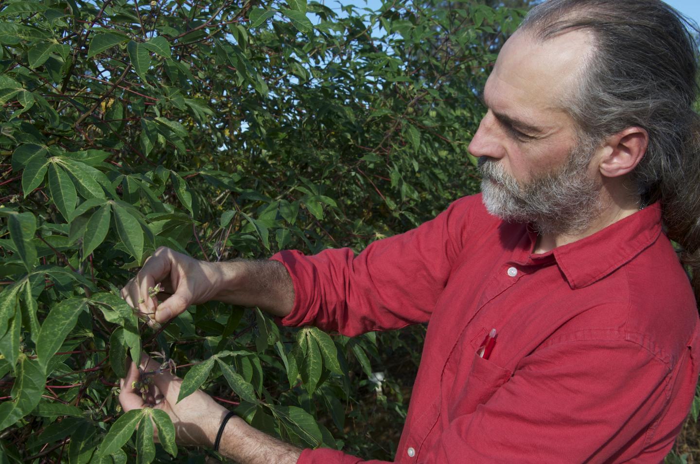 Dr. Nigel Taylor, Donald Danfo [IMAGE] | EurekAlert! Science News Releases