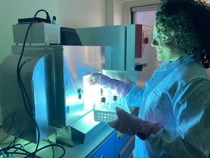 Experiments with UV light on m [IMAGE] | EurekAlert! Science News Releases