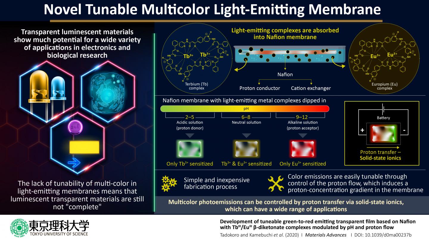 Transparent Films [IMAGE] | EurekAlert! Science News Releases