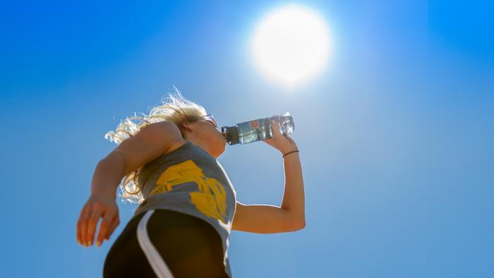 Extreme heat is becoming more [IMAGE] | EurekAlert! Science News Releases