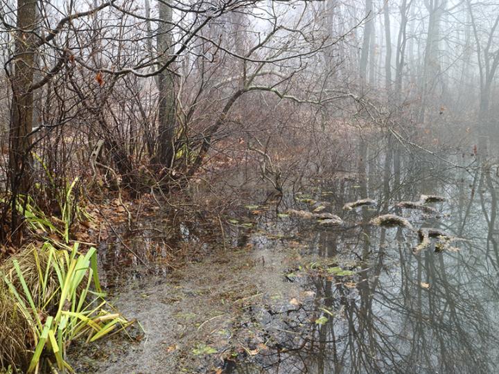 The Role of Lakes in Global Wa [IMAGE] | EurekAlert! Science News Releases