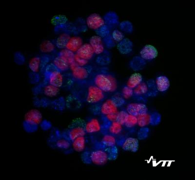 Novel cancer cell DNA damage repair mechanism | EurekAlert!