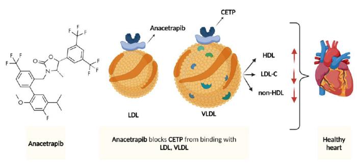 Anacetrapib mode of action [IMAGE] | EurekAlert! Science News Releases