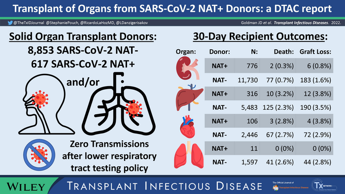 Visual Abstract [IMAGE] | EurekAlert! Science News Releases