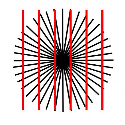 Hering Illusion [IMAGE] | EurekAlert! Science News Releases