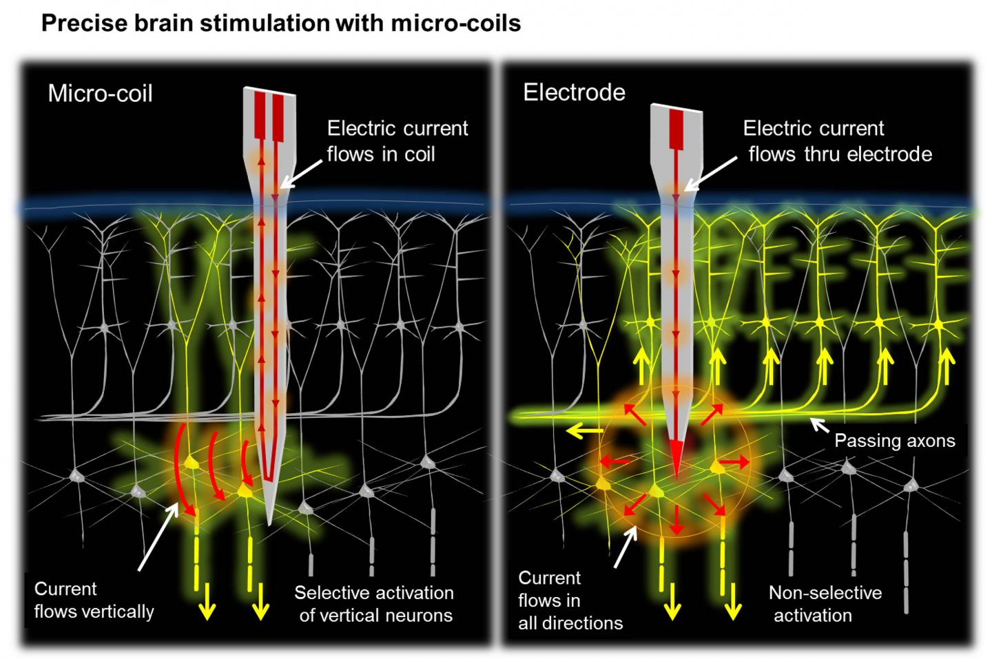 A Tiny Coiled Wire to Stimulate Brain Activit | EurekAlert!