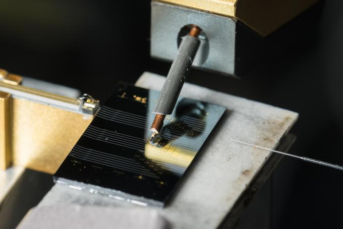 Microcomb laser [IMAGE] | EurekAlert! Science News Releases