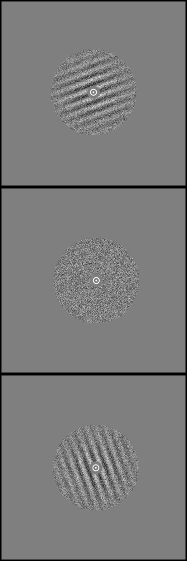 Gabor Patches [IMAGE] | EurekAlert! Science News Releases