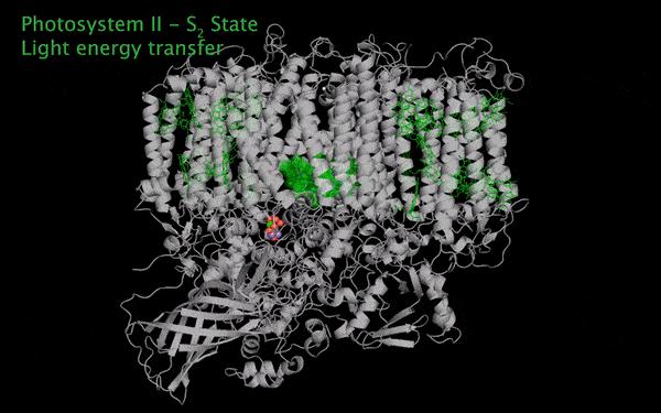 Photosystem II GIF [IMAGE] | EurekAlert! Science News Releases