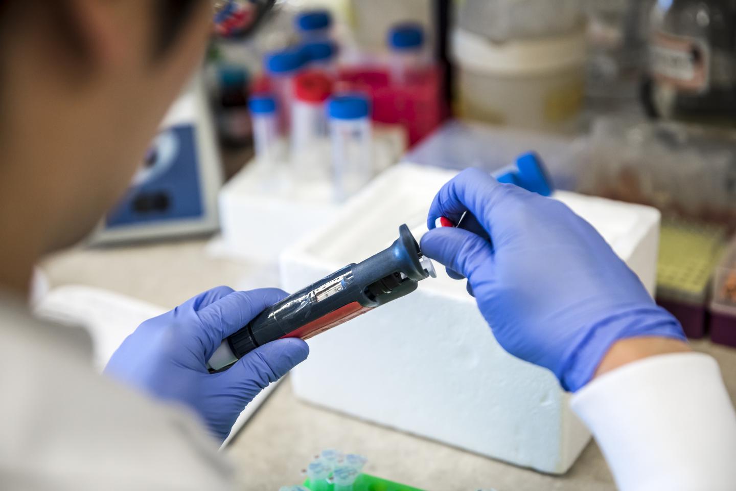 Pipetting in Lab [IMAGE] | EurekAlert! Science News Releases