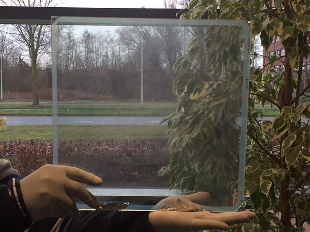 'Switchable' smart windows reduce energy cons | EurekAlert!