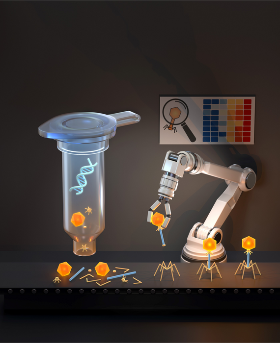 Graphical Abstract [IMAGE] | EurekAlert! Science News Releases