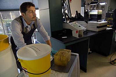 H.M. Brain Prep [IMAGE] | EurekAlert! Science News Releases