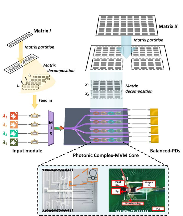 Small microring array enables large complex-v | EurekAlert!