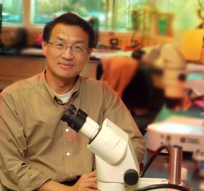 Dr. Lin Mei [IMAGE] | EurekAlert! Science News Releases