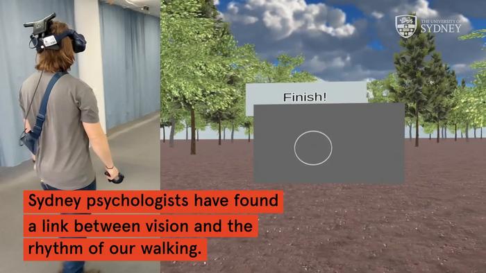 Foot-eye coordination: how our vision changes | EurekAlert!