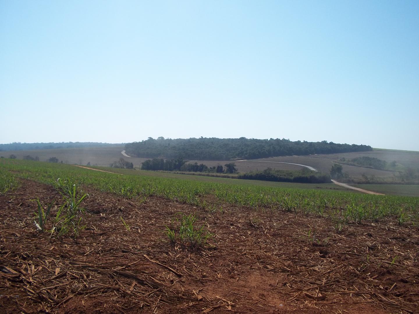 Mammalian diets and human-modified landscapes | EurekAlert!