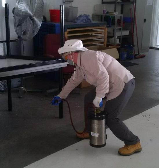 Targeted Spraying Technique Tackles Dengue (7 | EurekAlert!