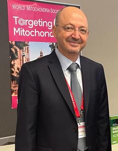 Study reveals HDL-C and ferritin as crucial m | EurekAlert!