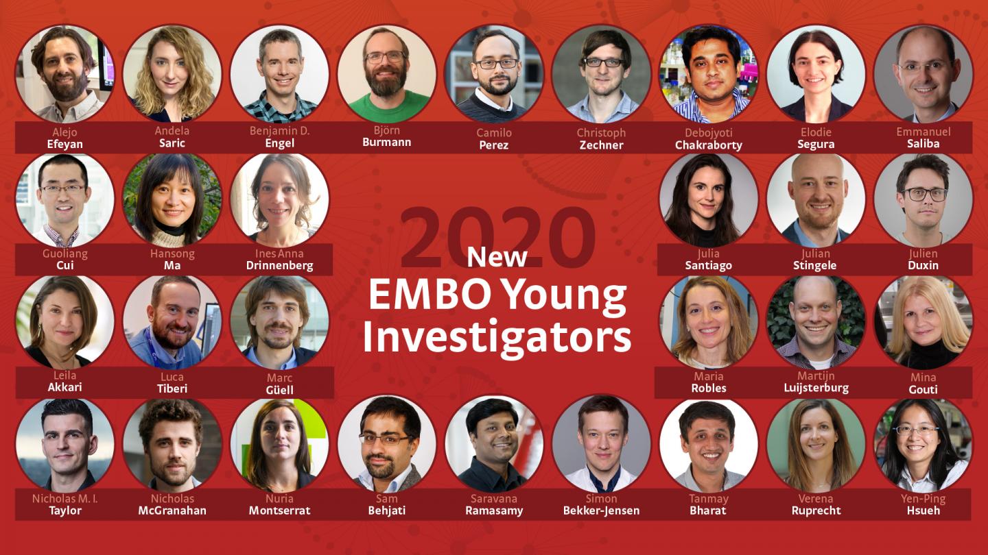 EMBO Young Investigators 2020 [IMAGE] | EurekAlert! Science News Releases