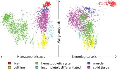 Variations on the genetic theme | EurekAlert!