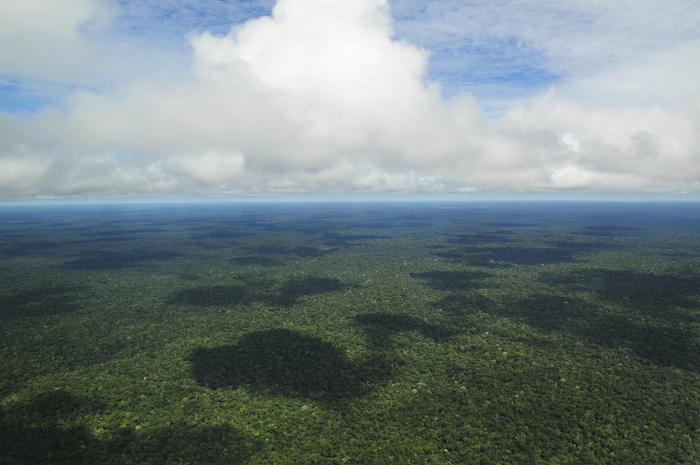 Brazilian Amazon [IMAGE] | EurekAlert! Science News Releases