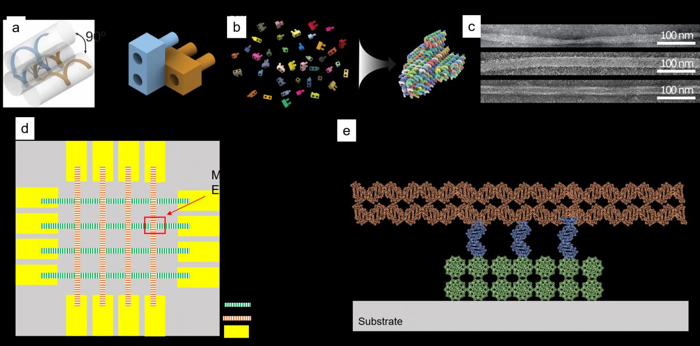 DNA-ROM: New Grant Aims for Me [IMAGE] | EurekAlert! Science News Releases