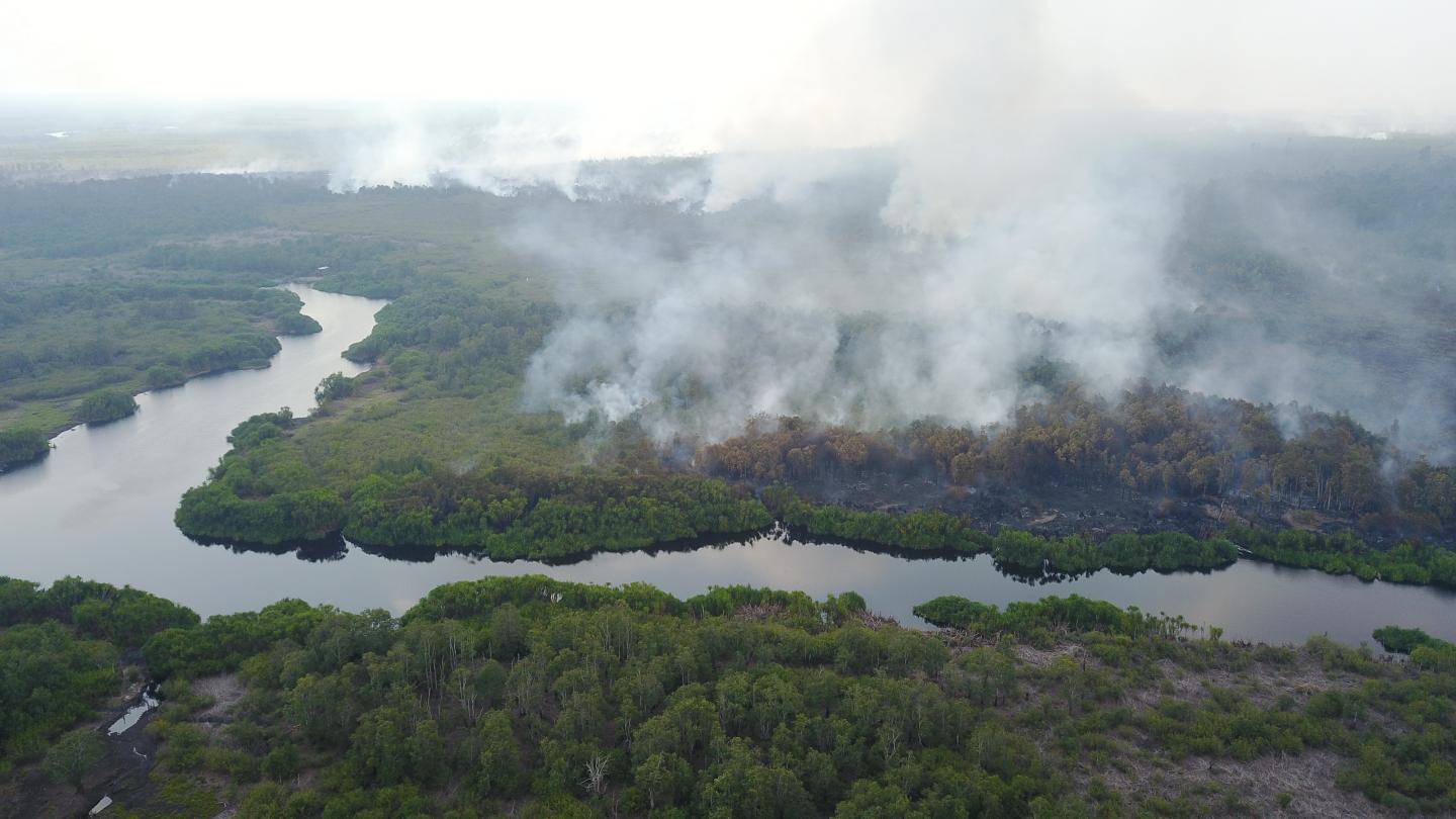 Peatland fire [IMAGE] | EurekAlert! Science News Releases