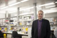 Professor Doug Hilton wins $50,000 Ramaciotti | EurekAlert!