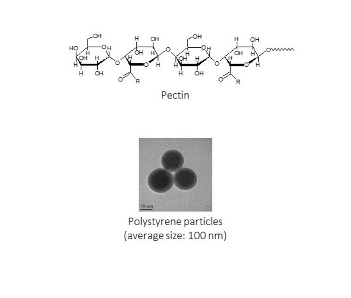 Figure 2 [IMAGE] | EurekAlert! Science News Releases