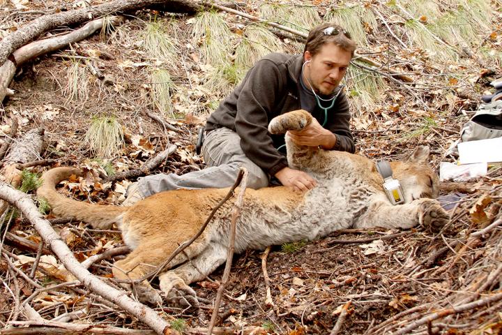 Max Allen [IMAGE] | EurekAlert! Science News Releases