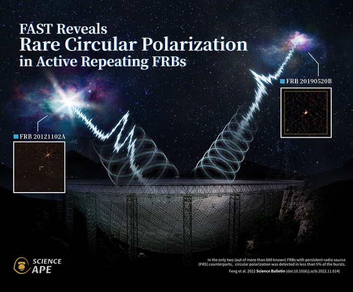 The artist impression of FAST [IMAGE] | EurekAlert! Science News Releases