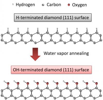 Figure 1 [IMAGE] | EurekAlert! Science News Releases