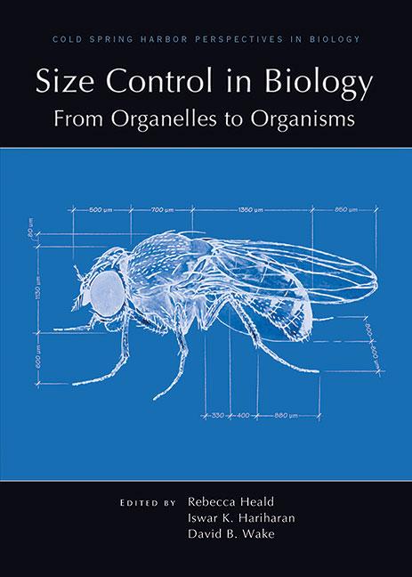 New book on 'Size Control in Biology,' from C | EurekAlert!