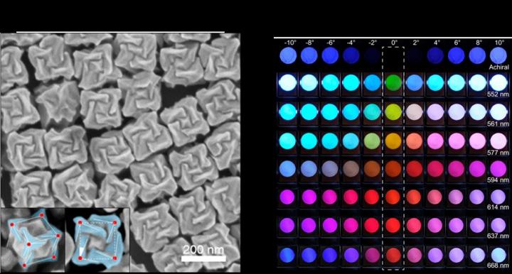 Electron Microscope Image of S [IMAGE] | EurekAlert! Science News Releases