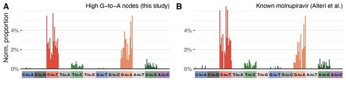 Antiviral drug linked to SARS-CoV-2 mutations | EurekAlert!