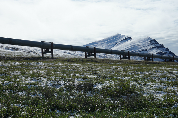 Pipeline in Alaska [IMAGE] | EurekAlert! Science News Releases
