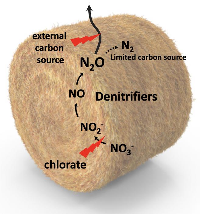 silage emissions concept [IMAGE] | EurekAlert! Science News Releases