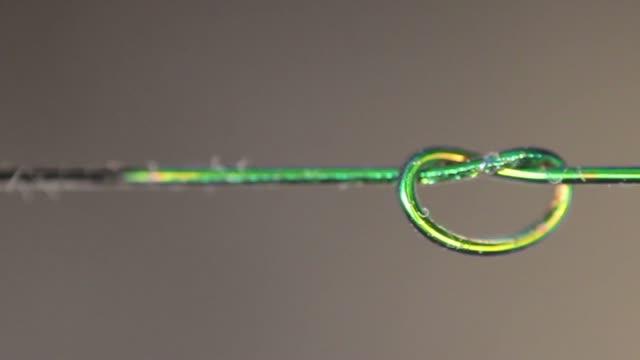 Color-Changing Fiber and Theory Reveal Fundam | EurekAlert!